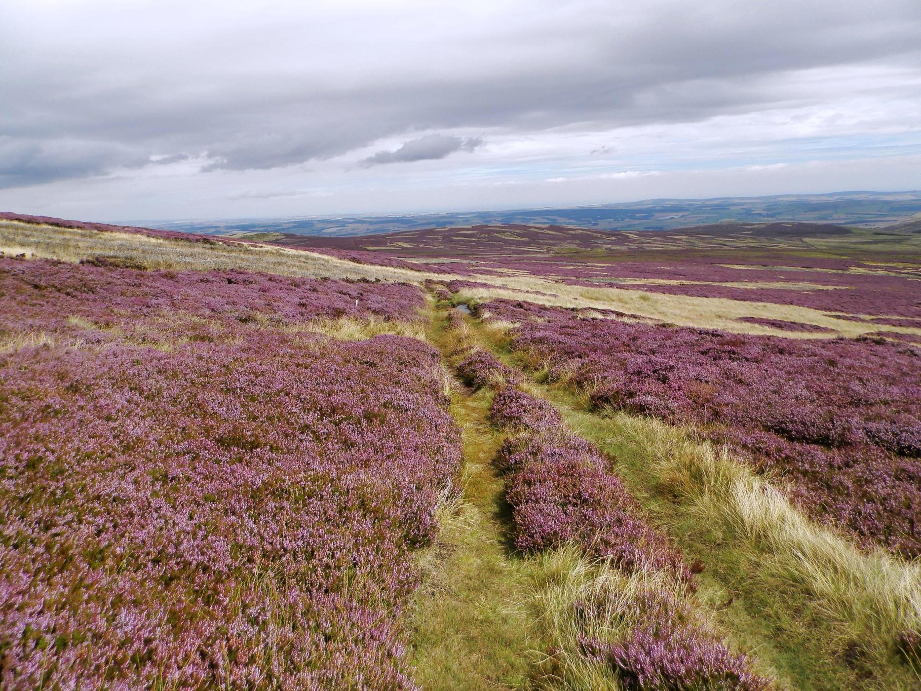 Yeavering Bell Northumberland National Park Walks | Footsteps