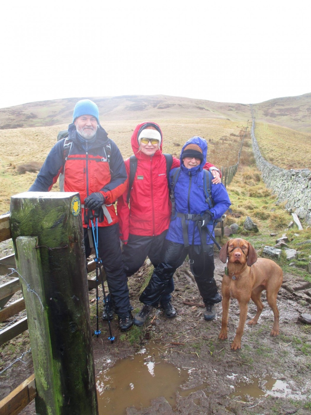 The Sun Doesn’t Always Shine On A Footsteps Guided Walk | Footsteps In ...